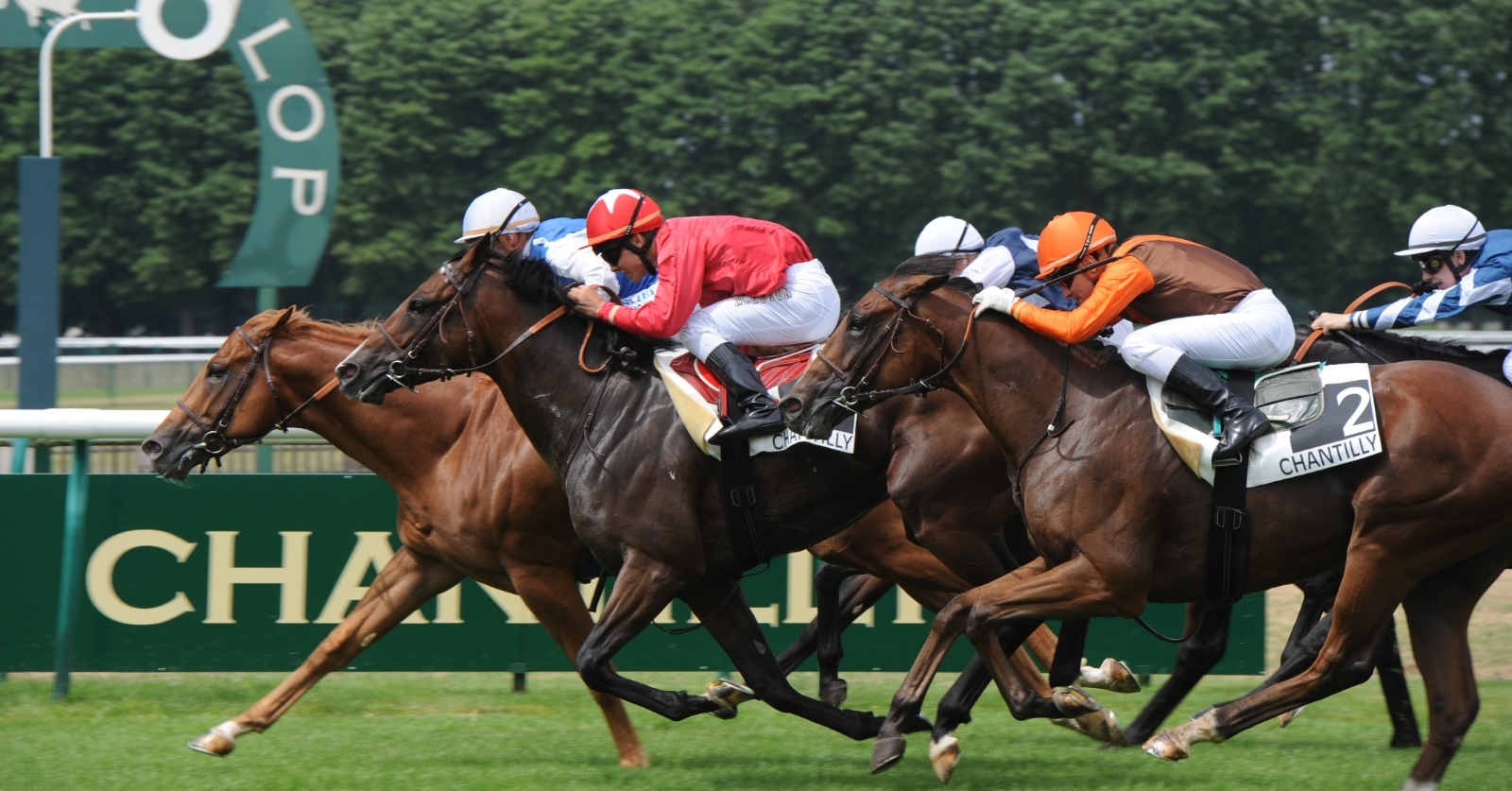 Tout savoir sur la location d'un cheval de course - Actualités